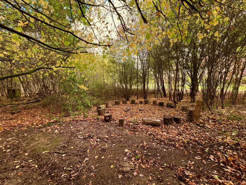 Forest School — Woodland Adventure Sessions — Forest Bees