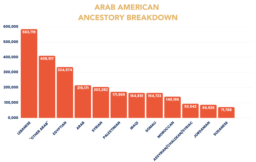 Demographics — Arab American Institute