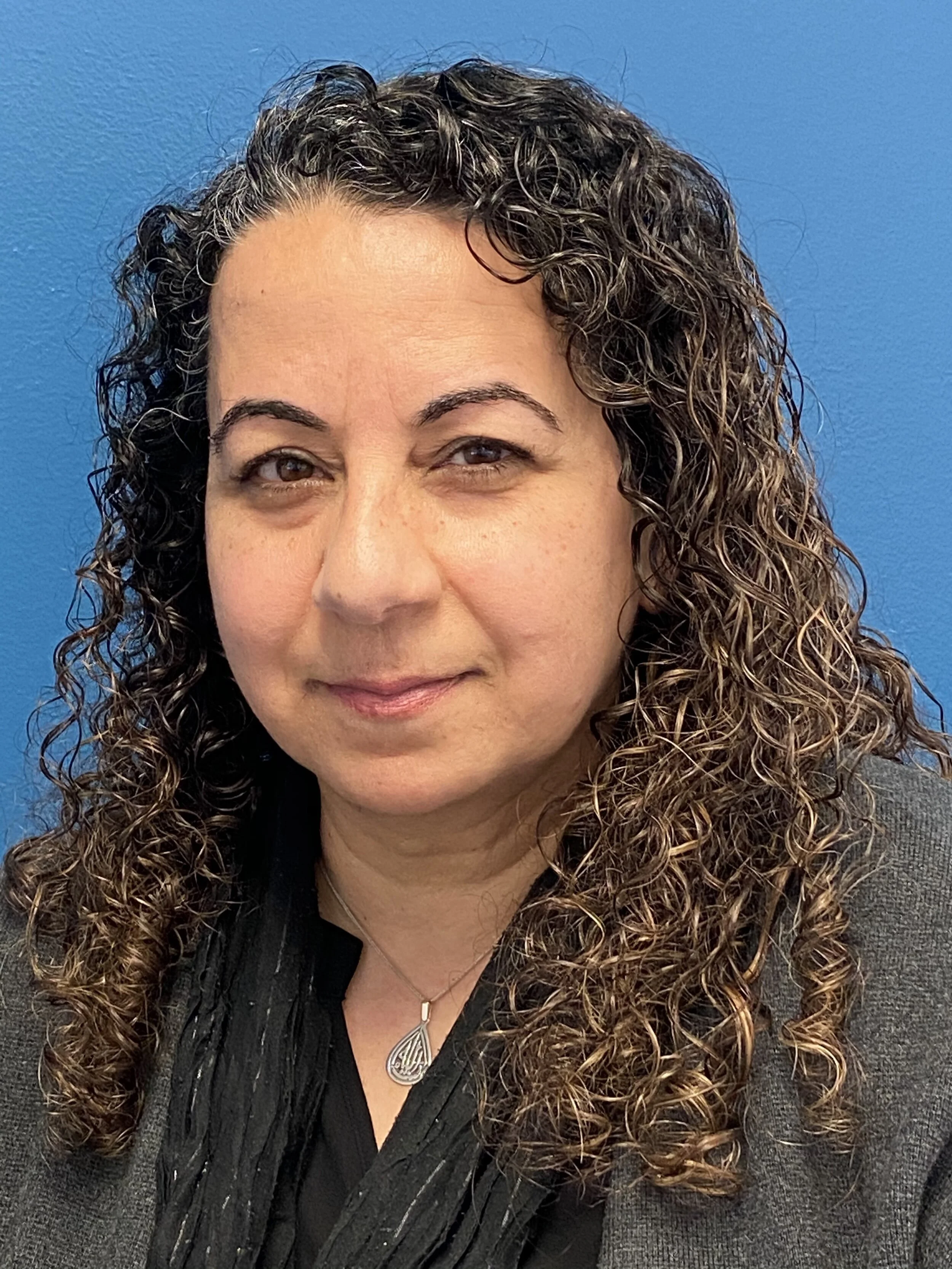 About Us — Arab American Institute