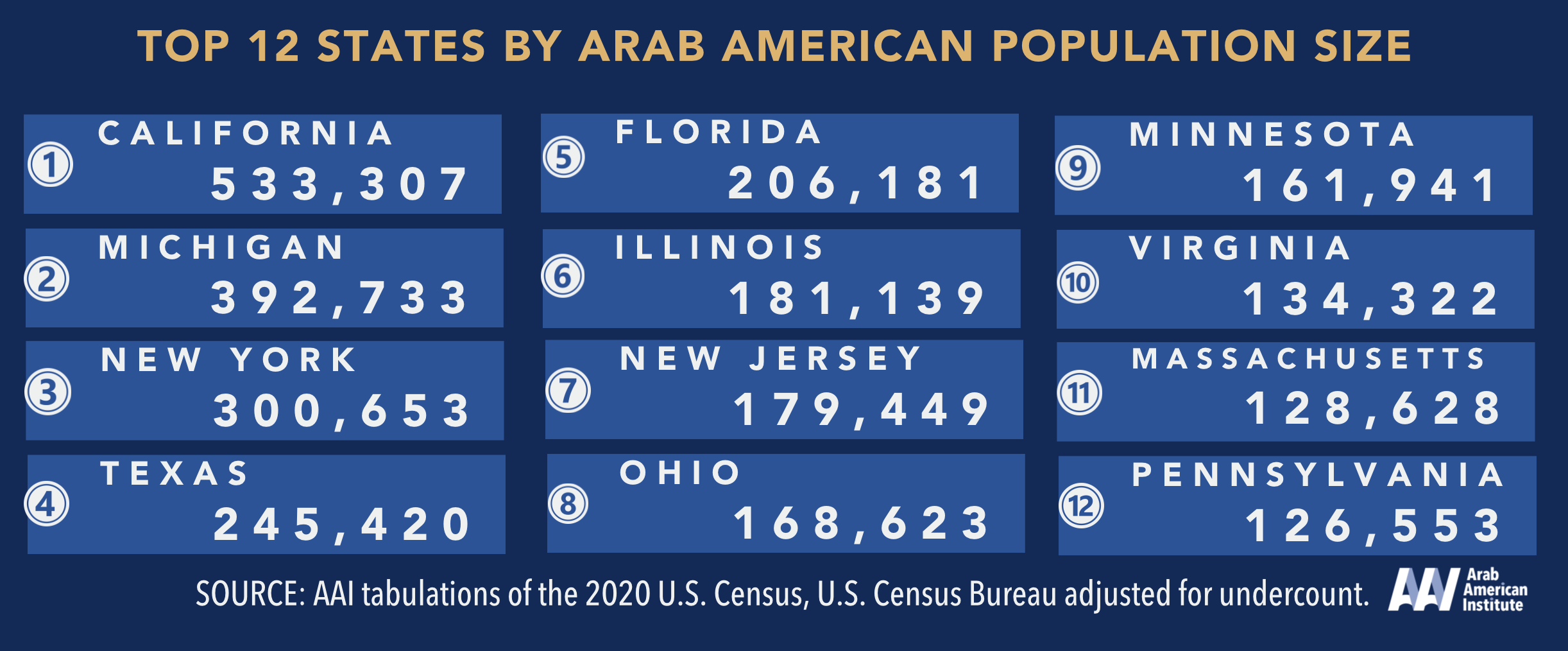 Demographics — Arab American Institute