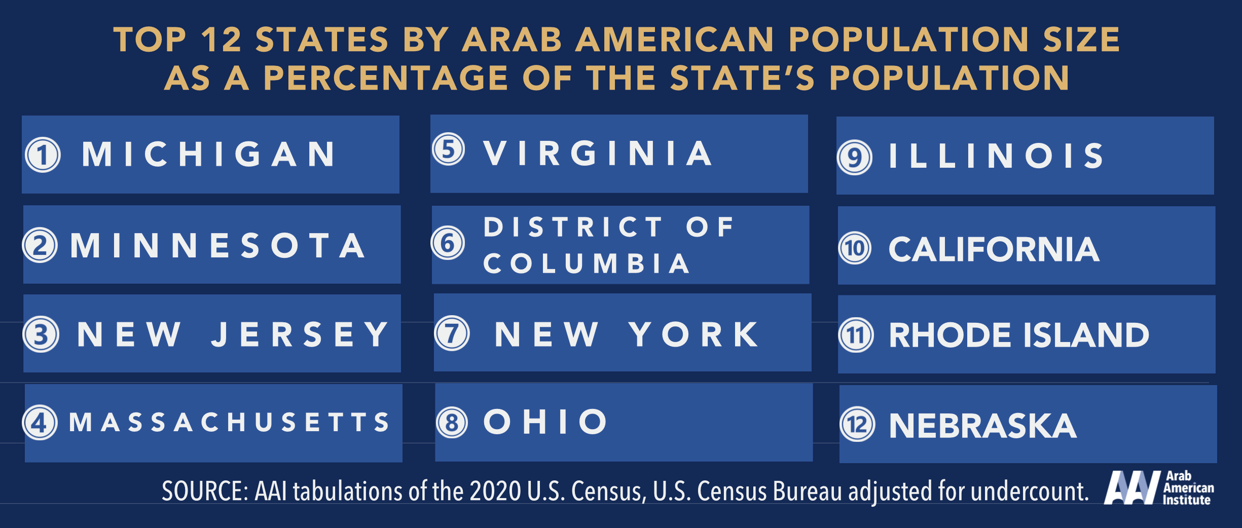 Demographics — Arab American Institute
