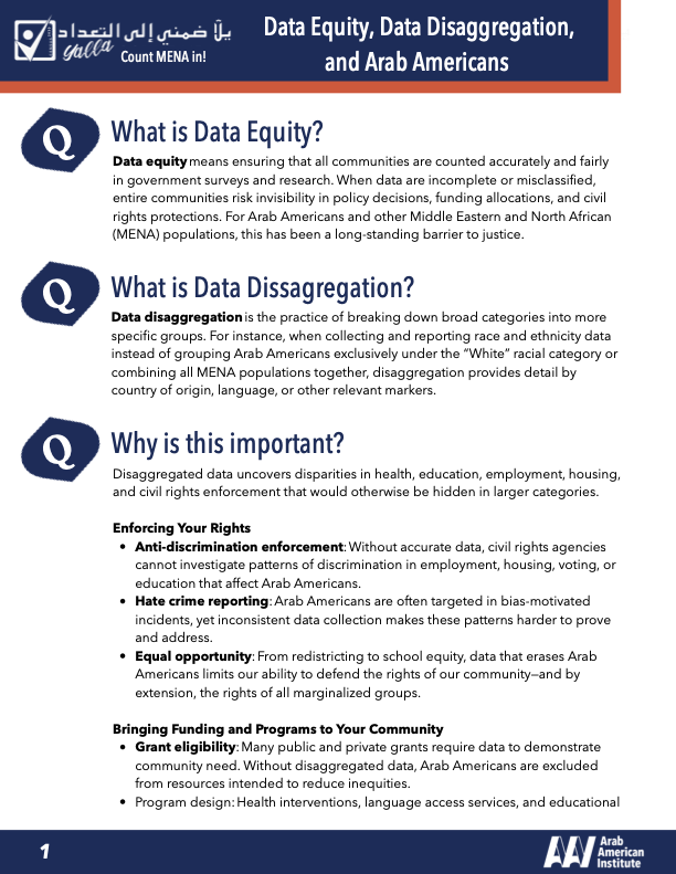 FACT SHEET: Data Equity, Data Disaggregation, and Arab Americans