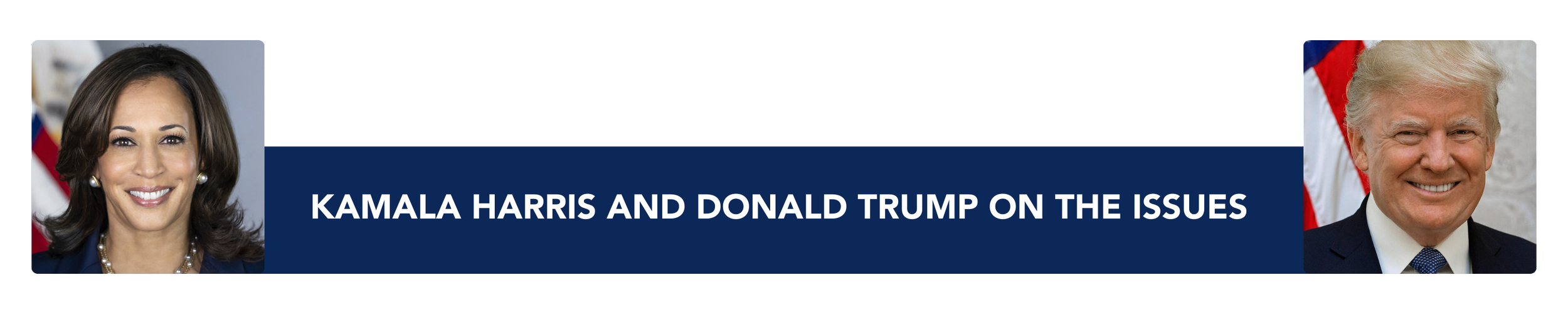 2024 election — Arab American Institute