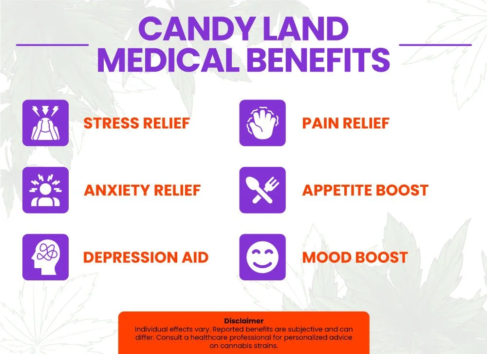 Therapeutic Wonders And Potential Benefits