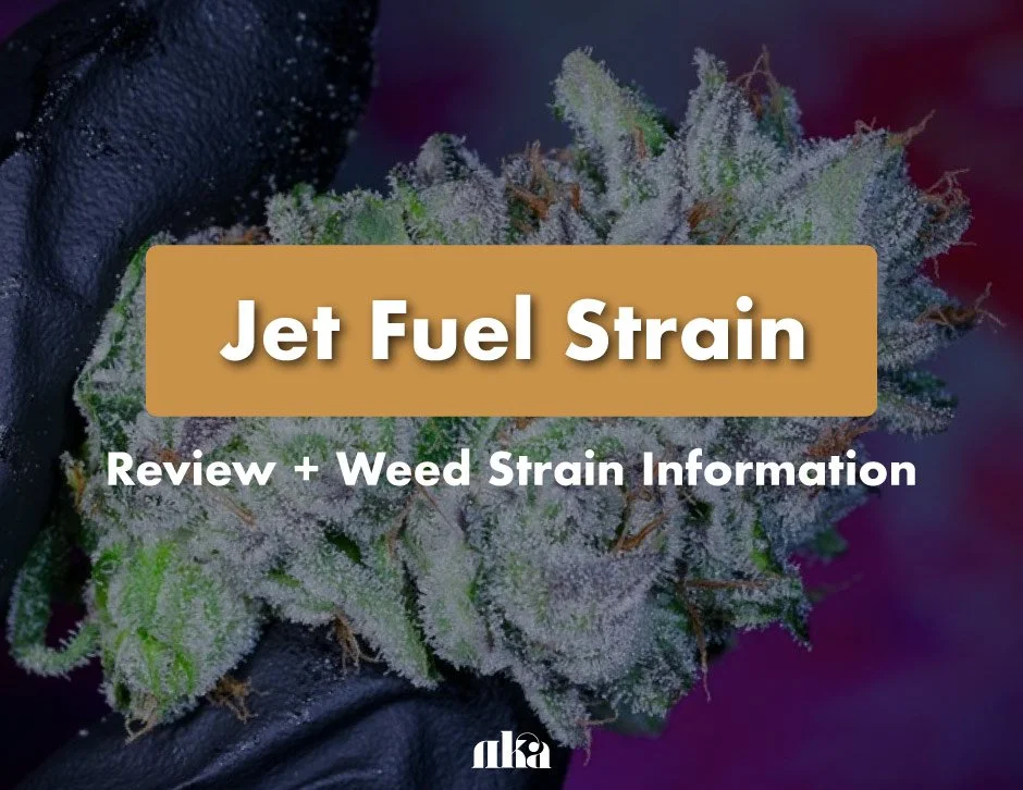 Jet Fuel Strain: Ultimate Weed Information Guide