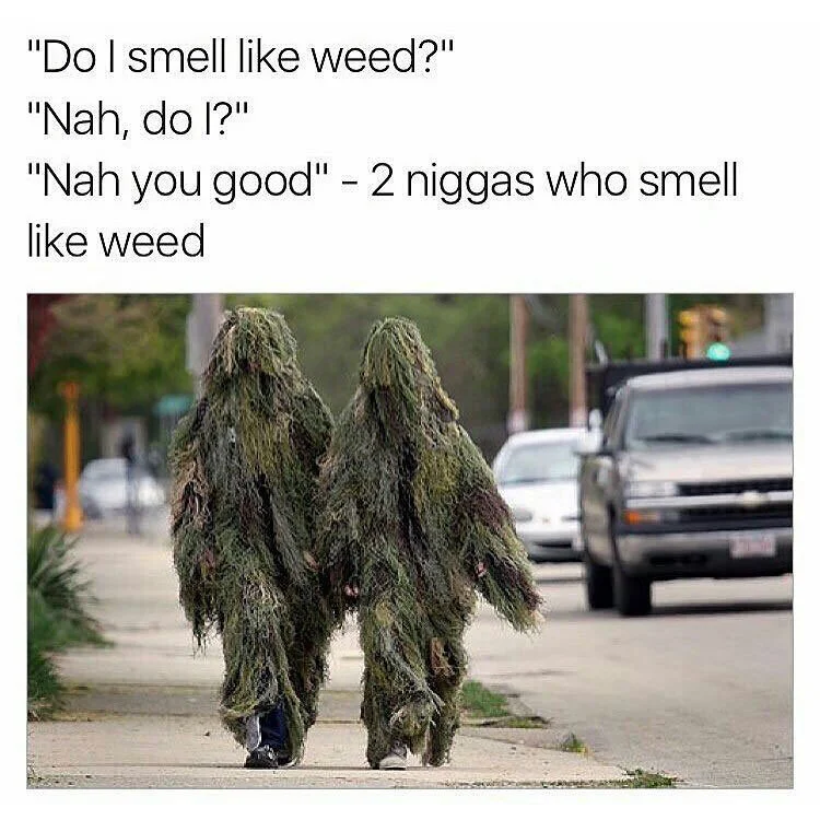 Smoke Session Memes 23 Best Weed Memes In 2024