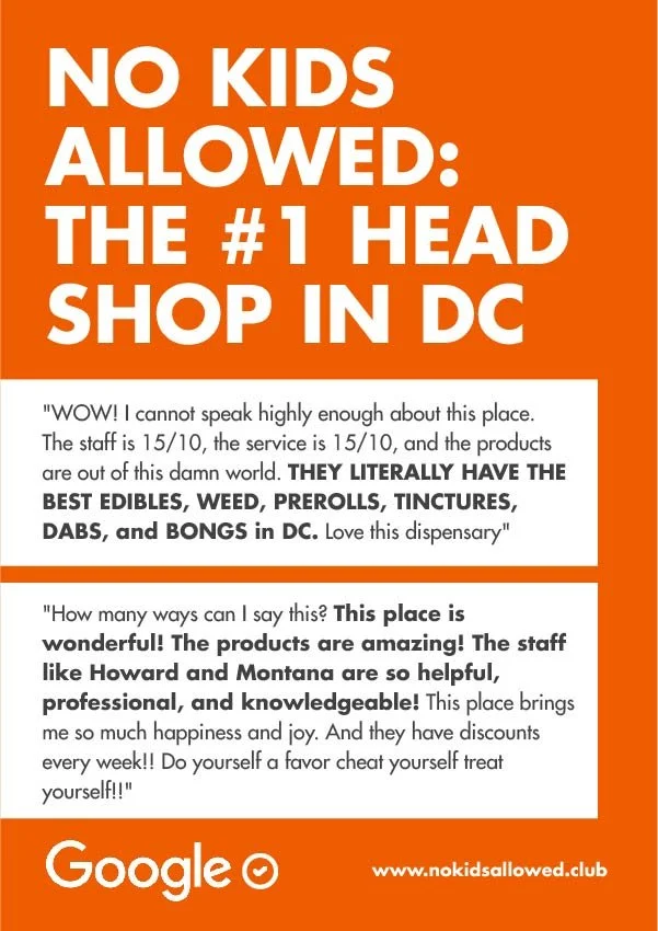 Guide to Different Types of Bongs: Which One is Perfect for You