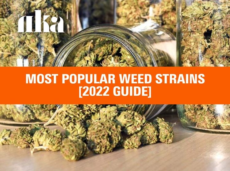 Most Popular Weed Strains in 2024: Top Ranked Strain List