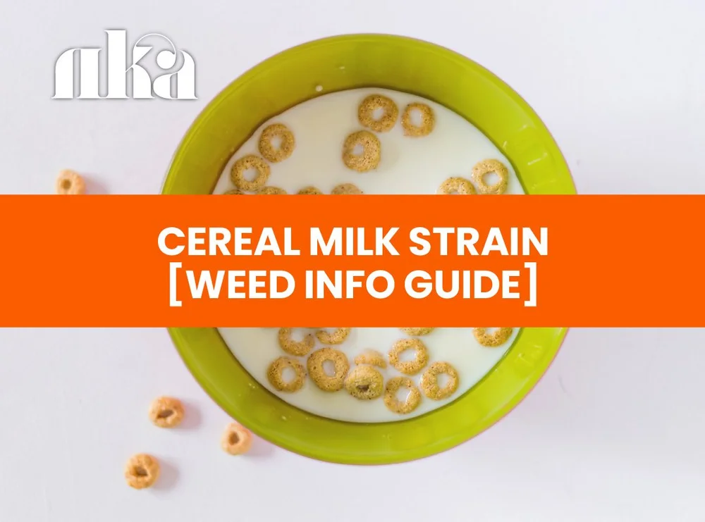 Cereal Milk Strain: Weed Strain Information