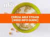 Cereal Milk Strain: Weed Strain Information