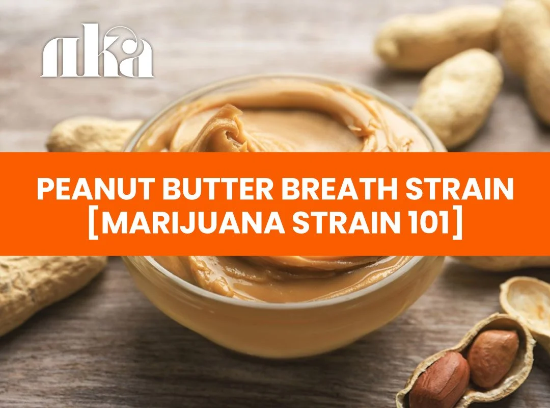 Peanut Butter Breath Strain Information: Marijuana 101
