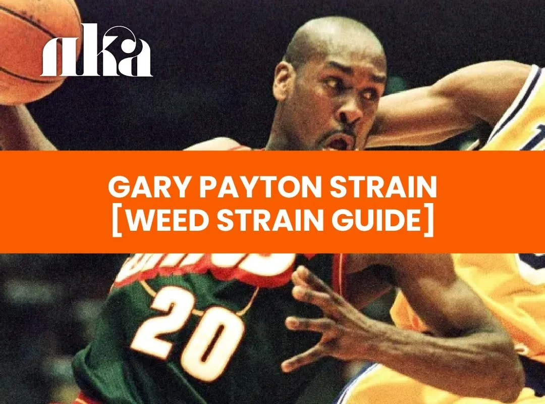 Gary Payton Strain Information: Cannabis Guide