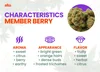 Characteristics Of The Member Berry Strain