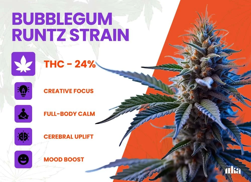 The High: Bubblegum Runtz Strain Effects