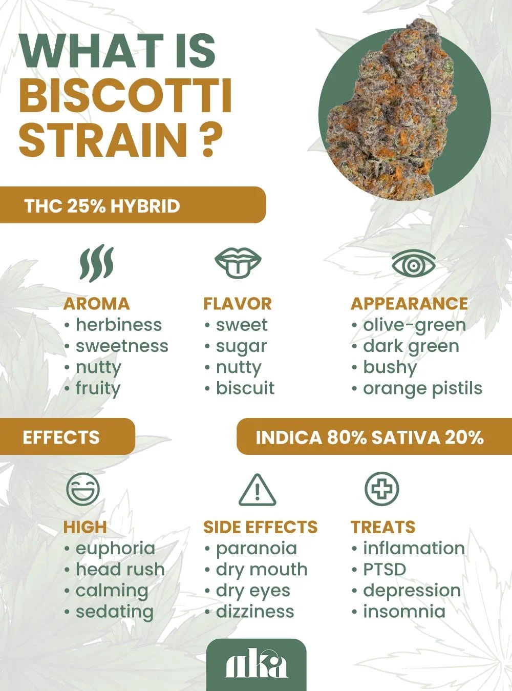 The Biscotti Strain: Marijuana Information Guide