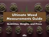 Weed Measurements Guide: Quantities, Weight, and Price Chart