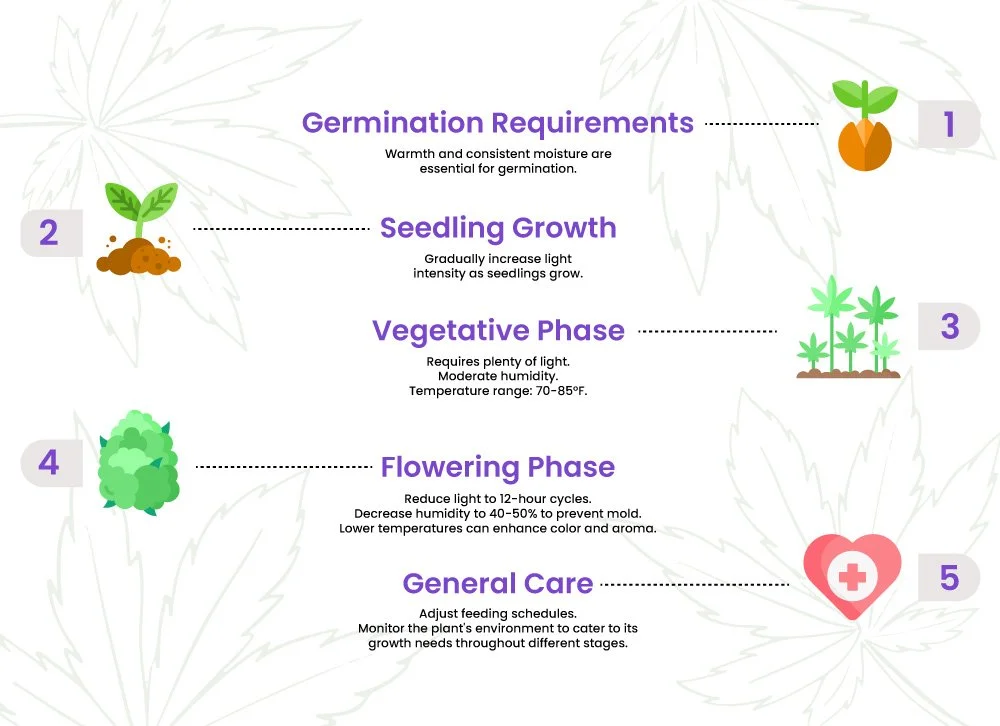 Pop Rocks Strain: Marijuana Strain Information