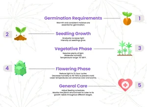 Pop Rocks Strain: Marijuana Strain Information