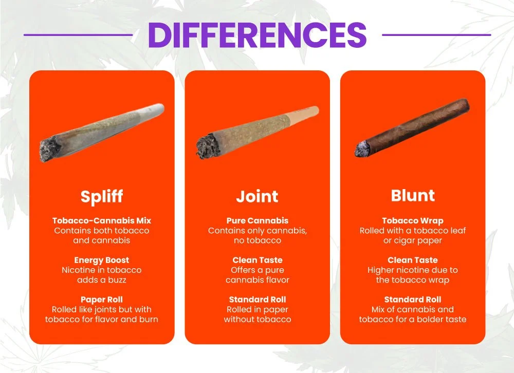 What is a Spliff: What You Need to Know