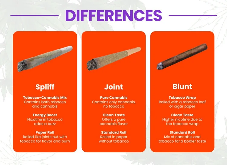 Deconstructing Common Misconceptions
