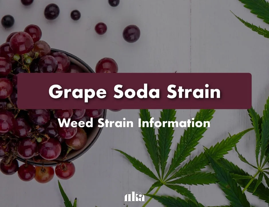 Grape Soda Strain: Weed Strain Information