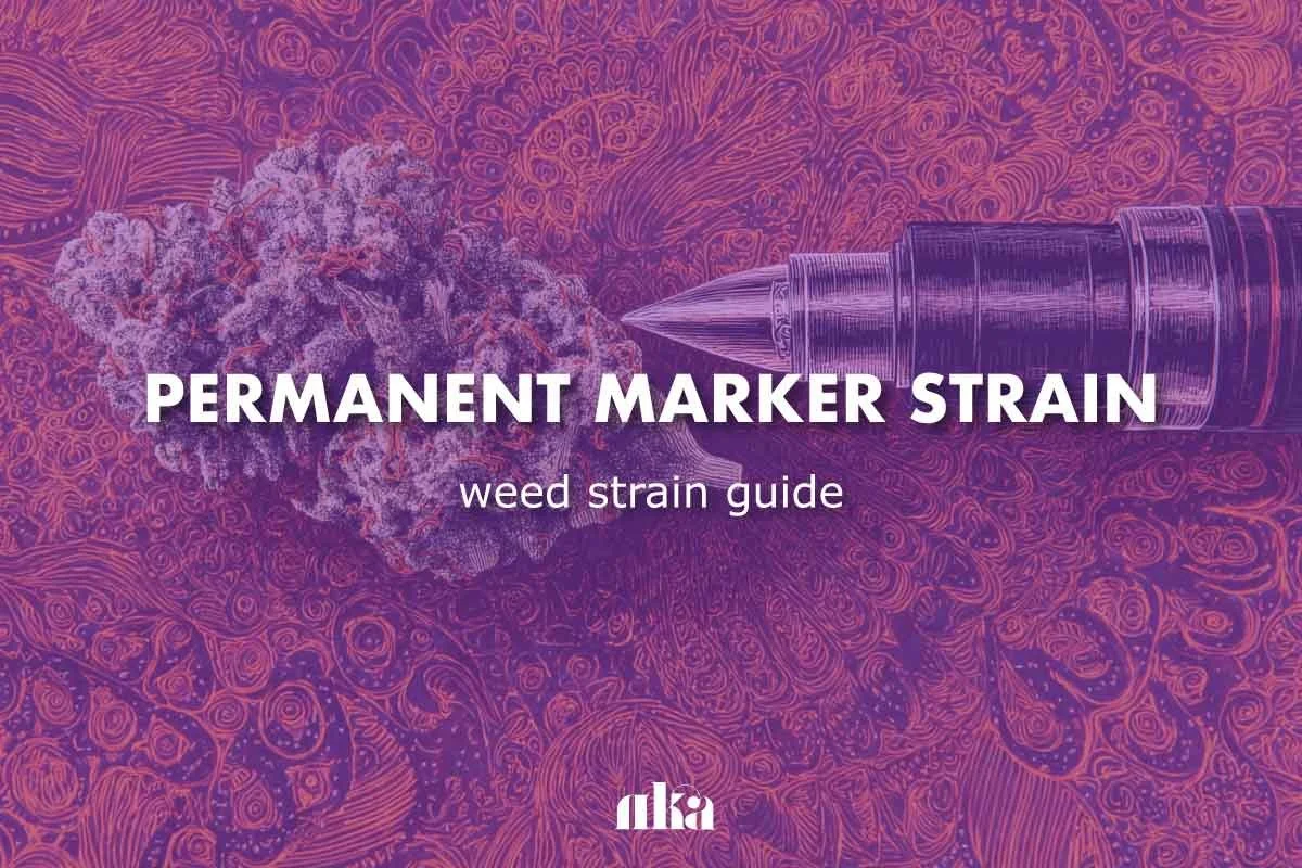 You can tell a lot about a strain from its name. The Permanent Marker ...