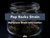 Pop Rocks Strain: Marijuana Strain Information