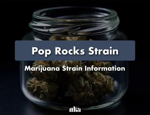 Pop Rocks Strain: Marijuana Strain Information