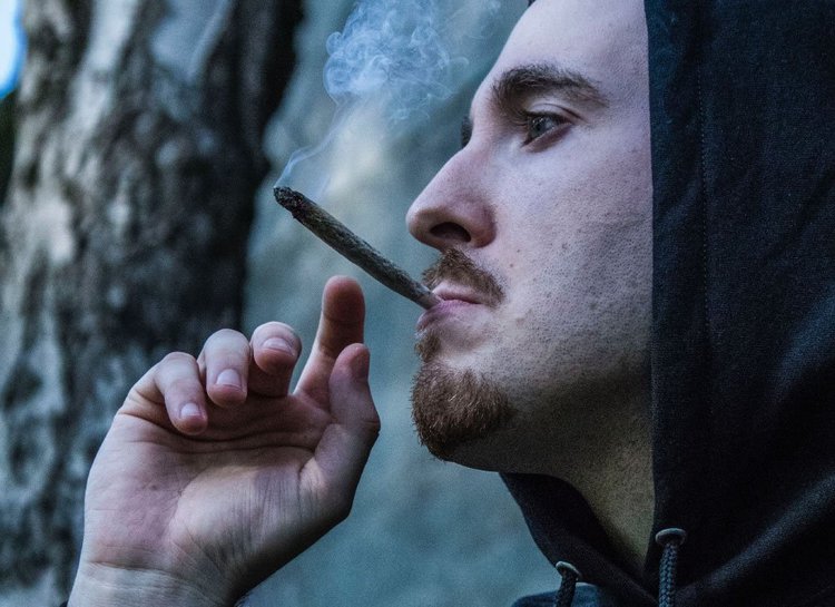 Gumbo Strain: Weed Strain Information Guide