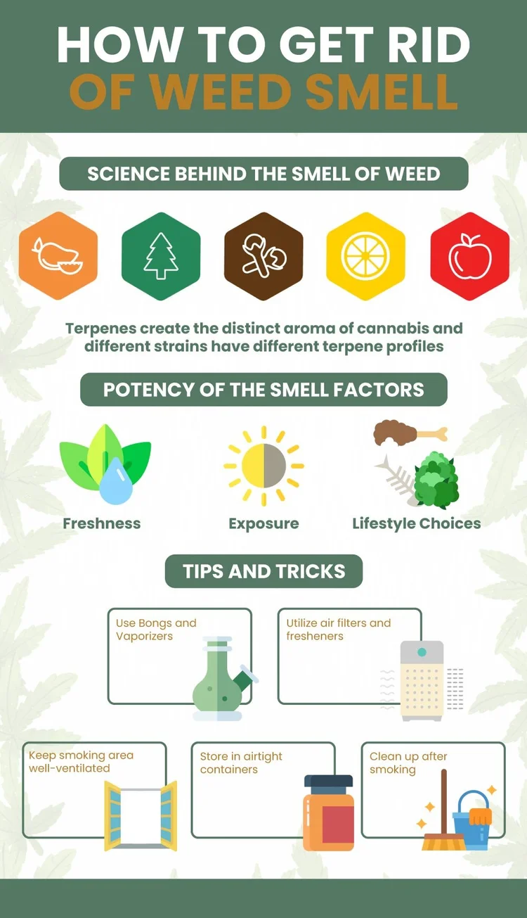 How to Get Rid of Weed Smell: 7 Expert Tips