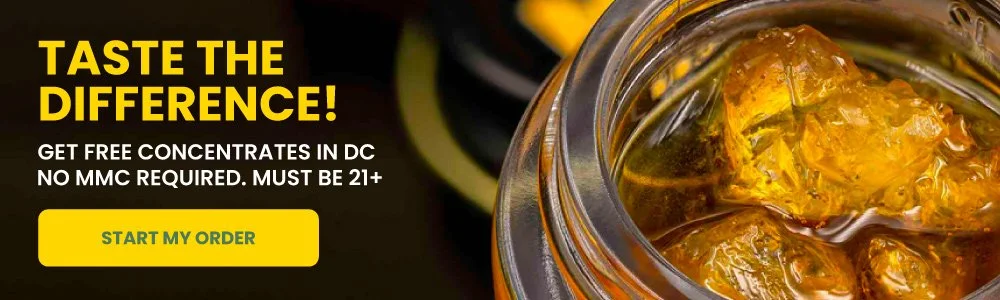 What is Live Resin: All About The Tastiest Cannabis Extract