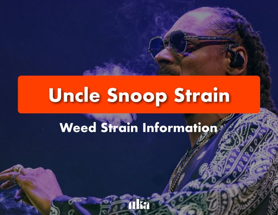 Uncle Snoop Strain: Weed Strain Information