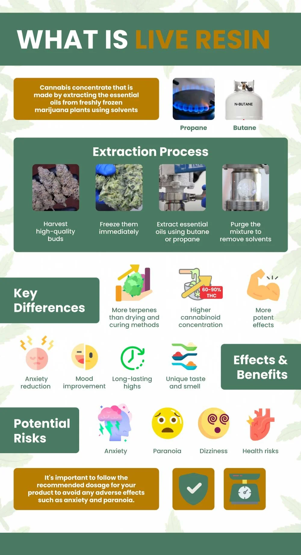 What is Live Resin: All About The Tastiest Cannabis Extract