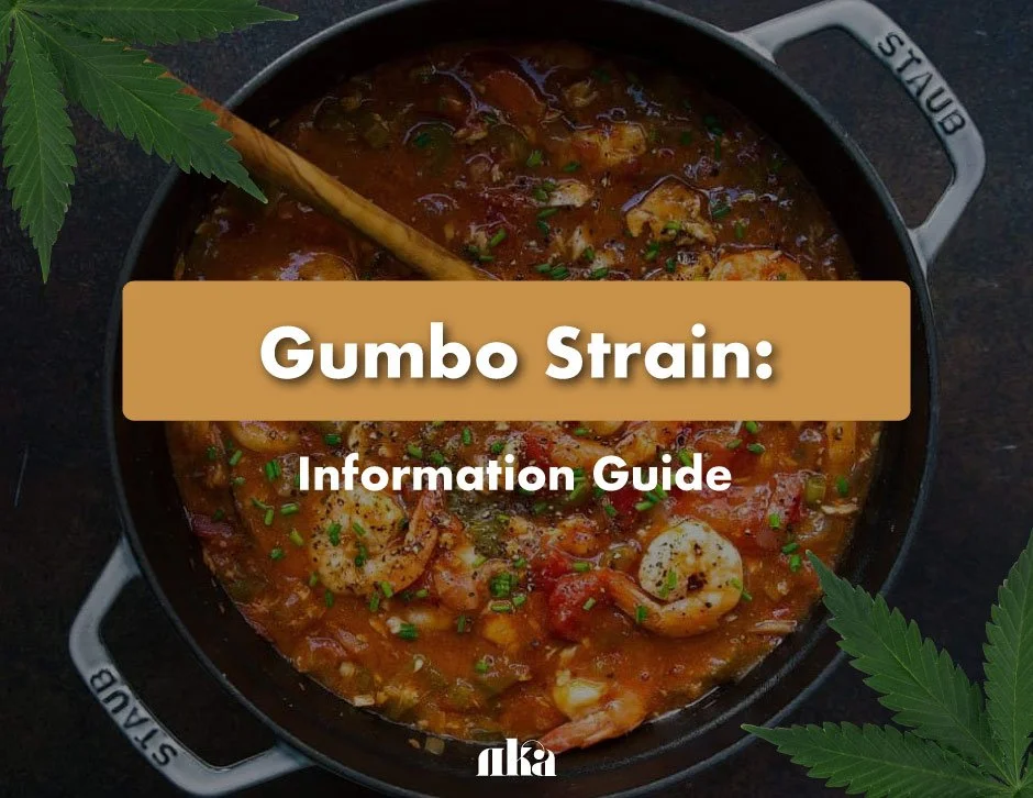 Gumbo Strain: Weed Strain Information Guide