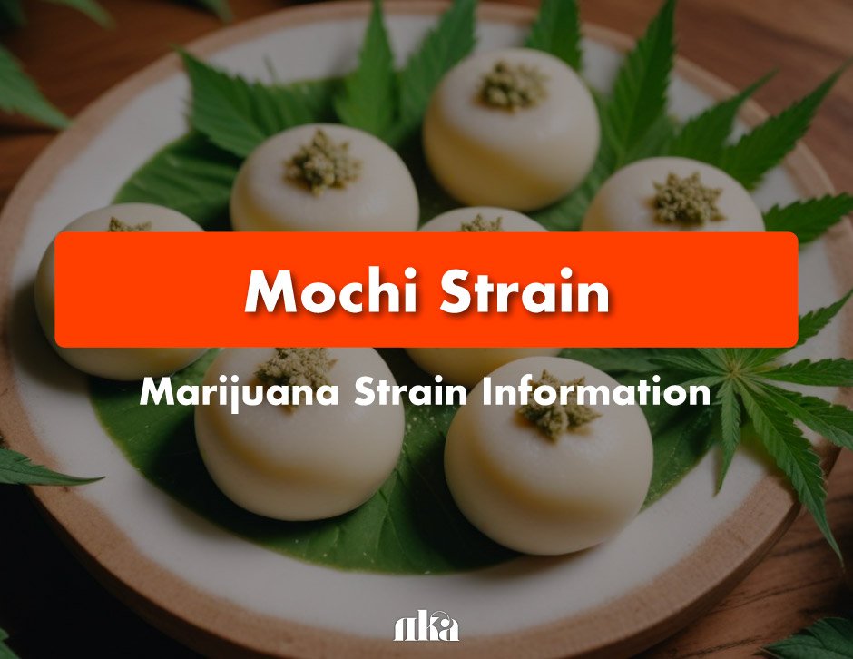 Mochi Strain: Marijuana Strain Information
