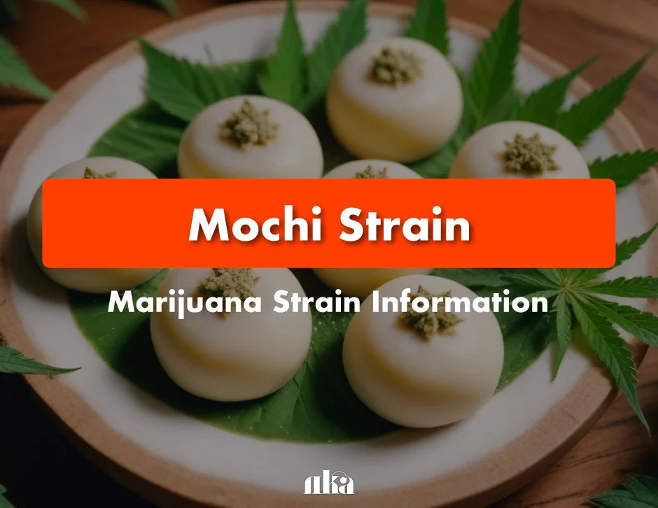 Mochi Strain: Marijuana Strain Information