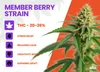 Member Berry Strain Effects And THC Levels