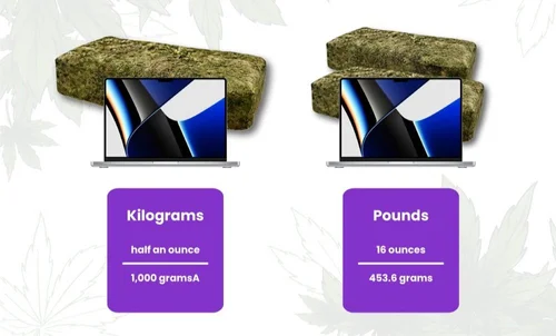 ADVANCED MEASUREMENTS OF WEED SIZES