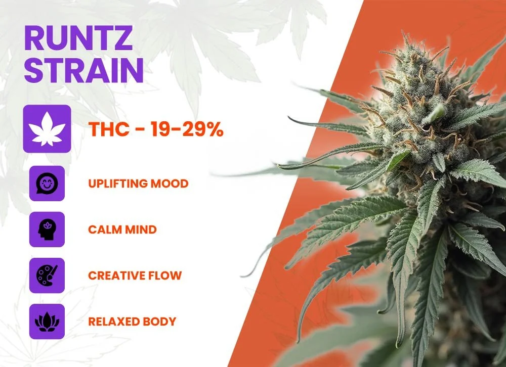 Runtz Strain Effects And THC Levels