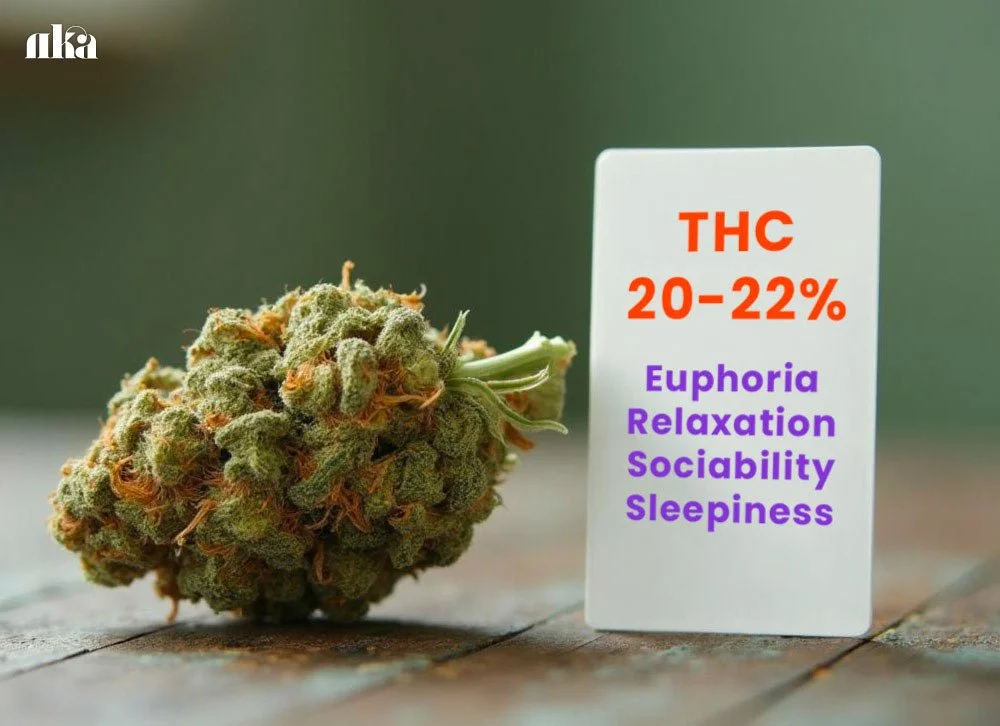 Sherbanger Strain Effects & THC Levels