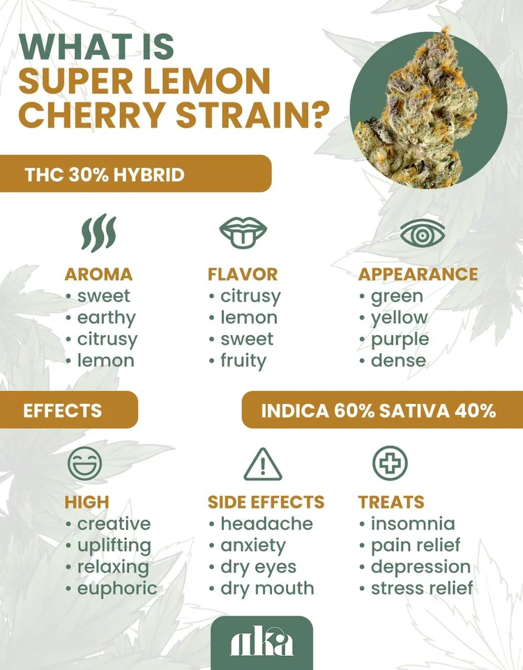 Characteristics of the Super Lemon Cherry Strain