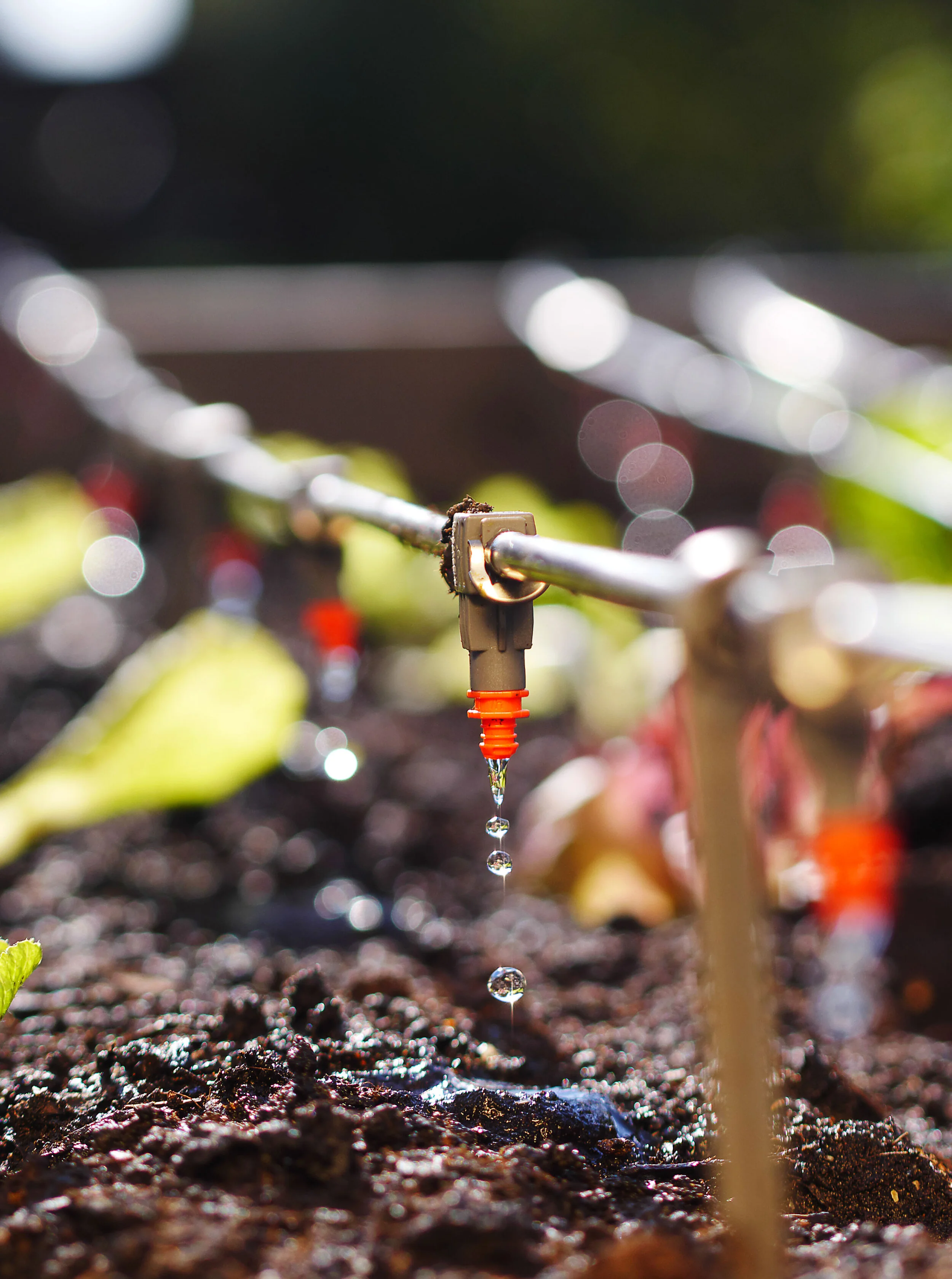 Our Crop Protection Vision & Mission | CropLife America