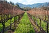 CropLife America | Crop Protection, Sustainability & Pesticide Policy