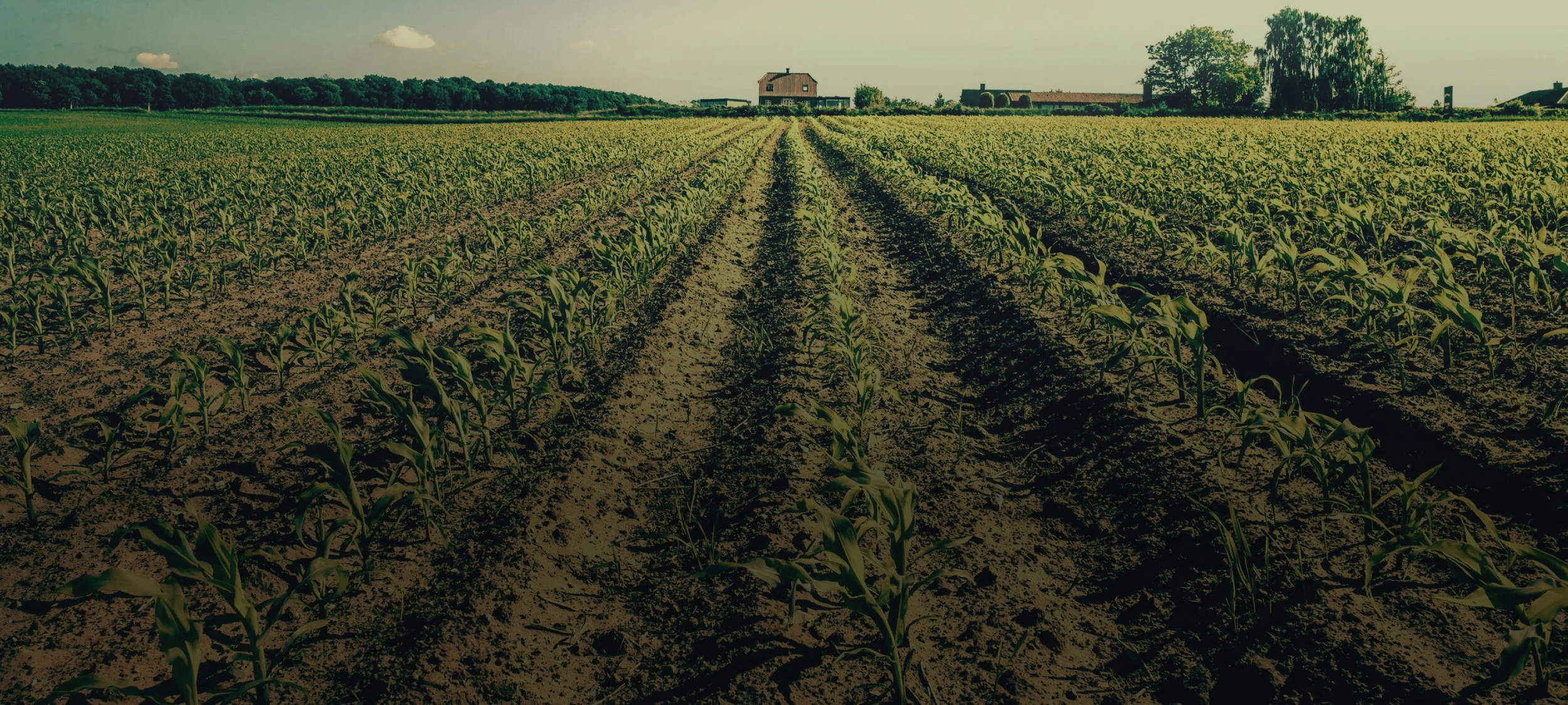 Protecting Farmers' Access To The Tools They Need | CropLife America