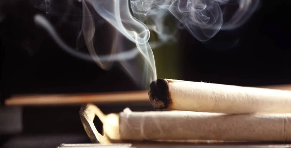 What is Moxibustion And The Healing Powers of Moxa? — West End Wellness