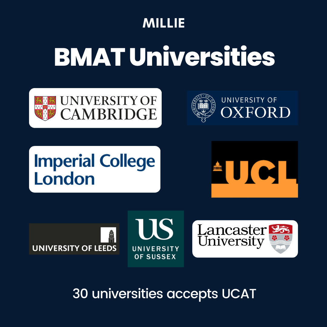 IB + AP + A Level One-on-one Classes — MILLIE