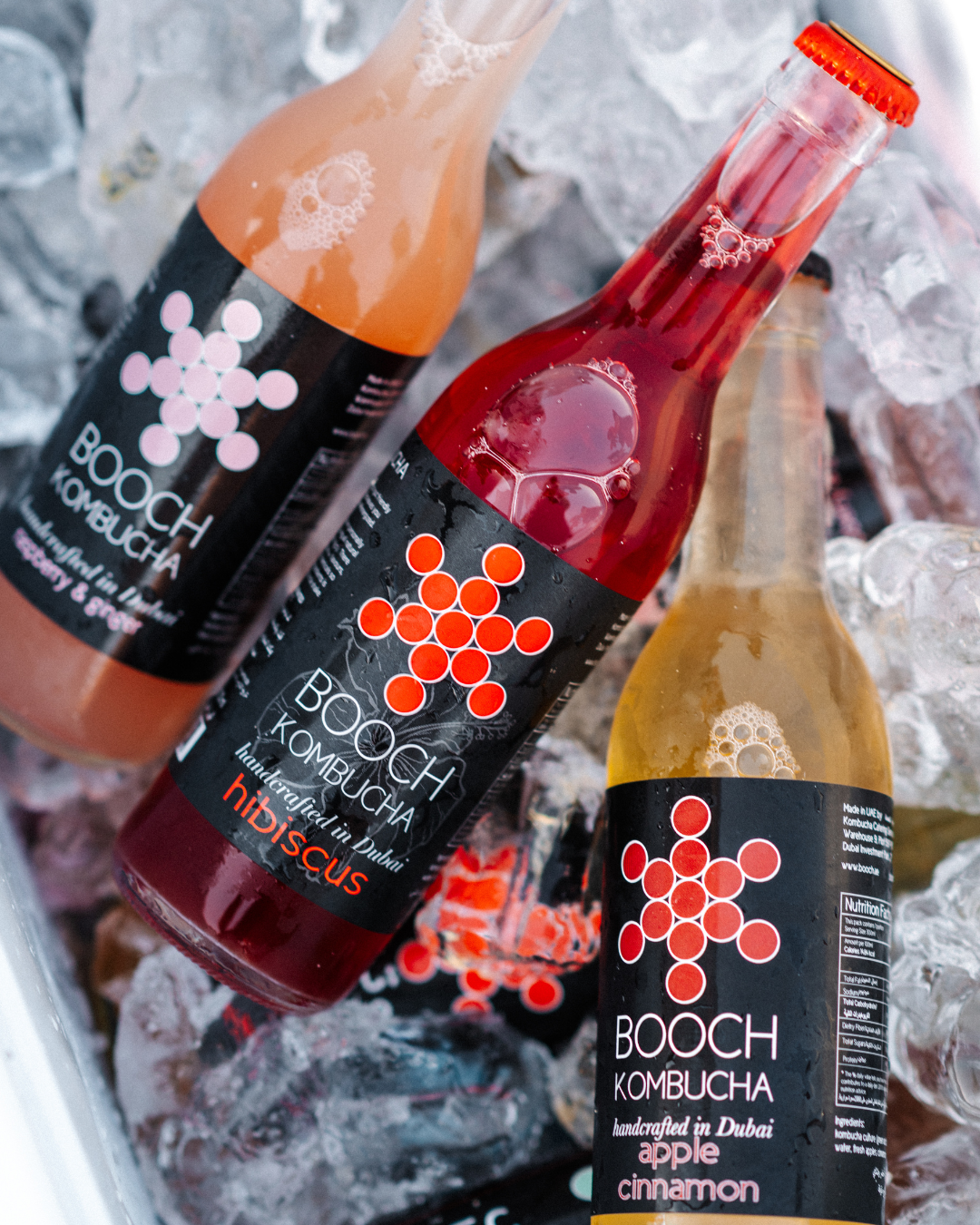 Small-Batch Brewing in the Desert: How We Keep Kombucha Fresh in UAE ...