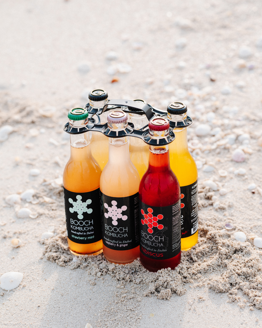 Small-Batch Brewing in the Desert: How We Keep Kombucha Fresh in UAE ...