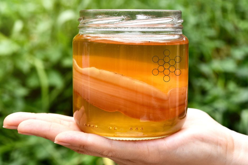The SCOBY Explained: The Living Culture Behind Every Bottle of Booch ...