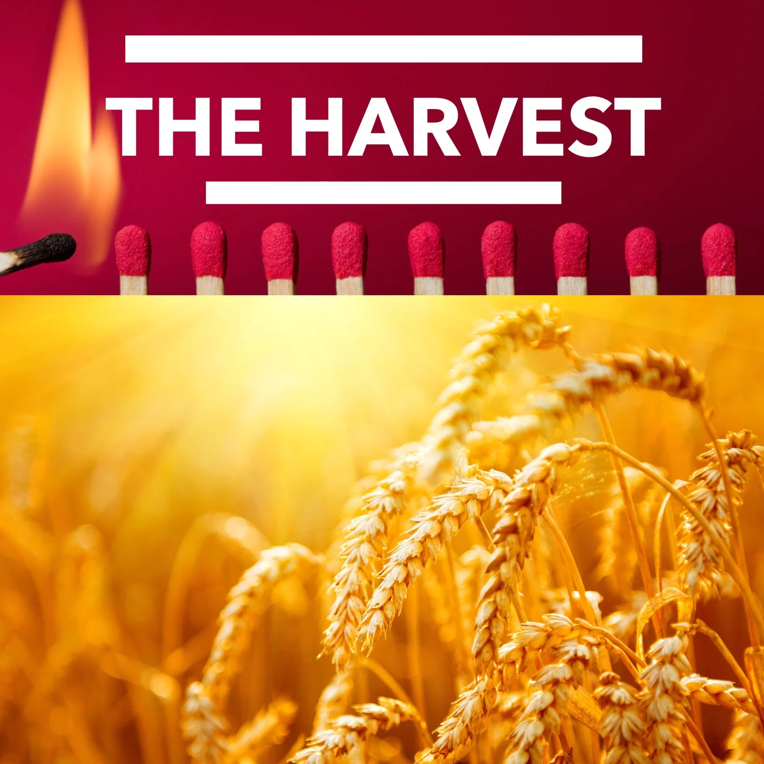 The Harvest 301 — School of Revival